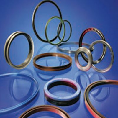 Dynamic Seals - ERIKS